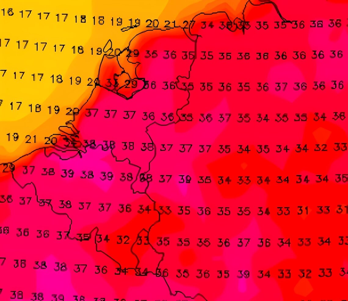 RIVM en KNMI activeren het Nationaal Hitteplan in deze provincies – dit ...